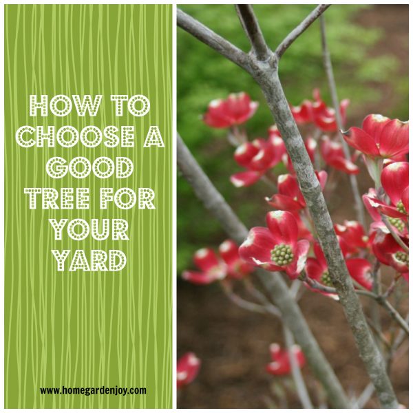 Flowering Trees for Your Front Yard - Home Garden Joy