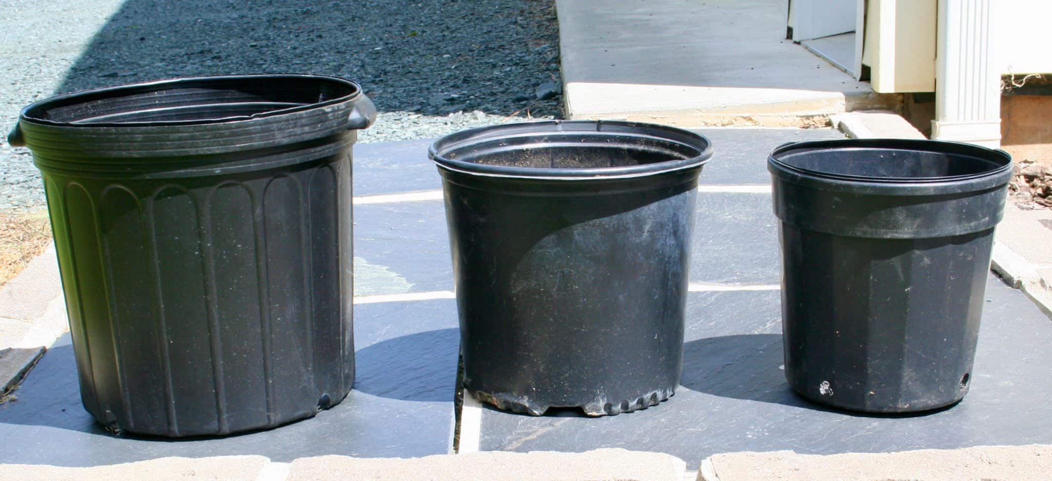 Types of Containers for Container Gardening - Home Garden Joy