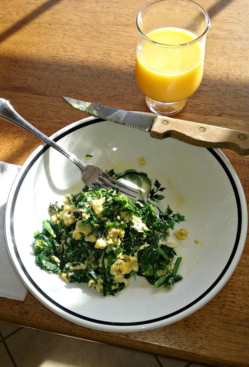 What Is Rapini (Broccoli Rabe?) - Home Garden Joy